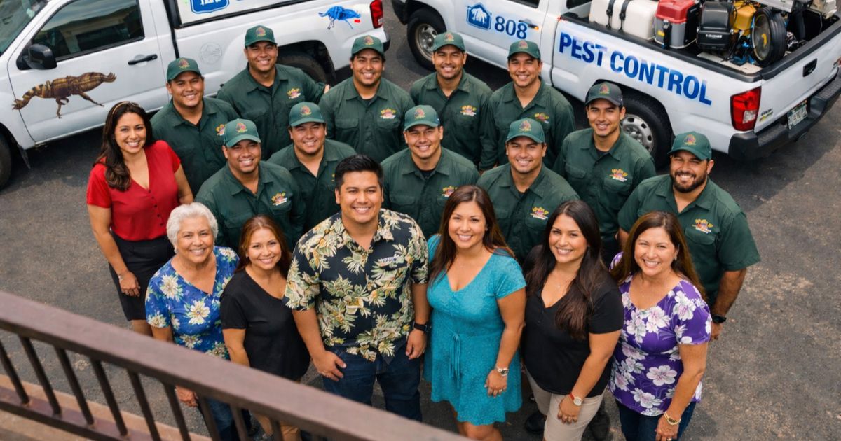 808 Pest Control | #1 Pest Control Company in Oahu, Hawaii